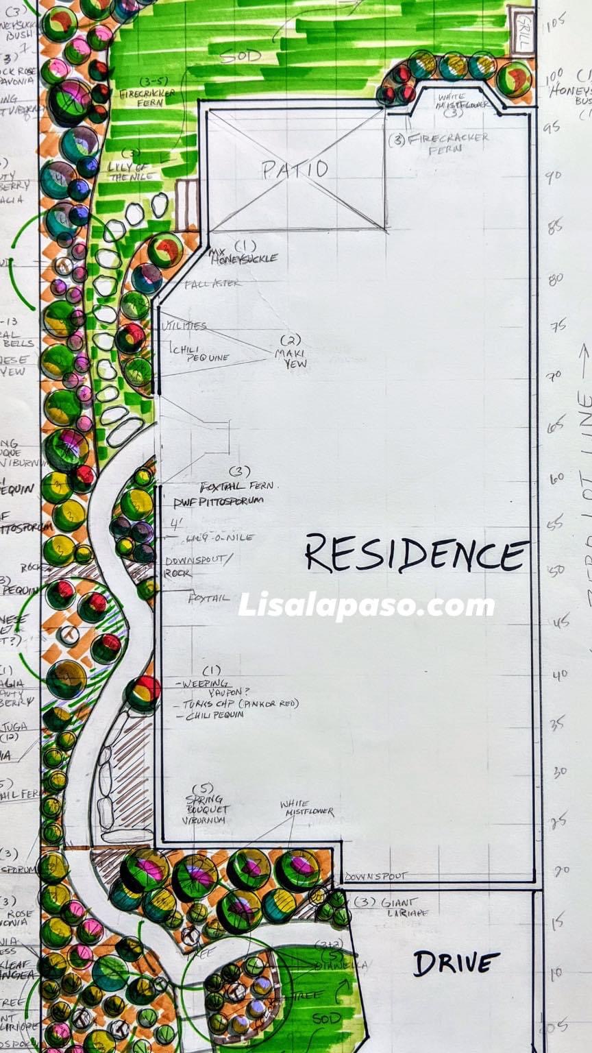 Hand Drawn Landscape Design | Lisa's Landscape & Design